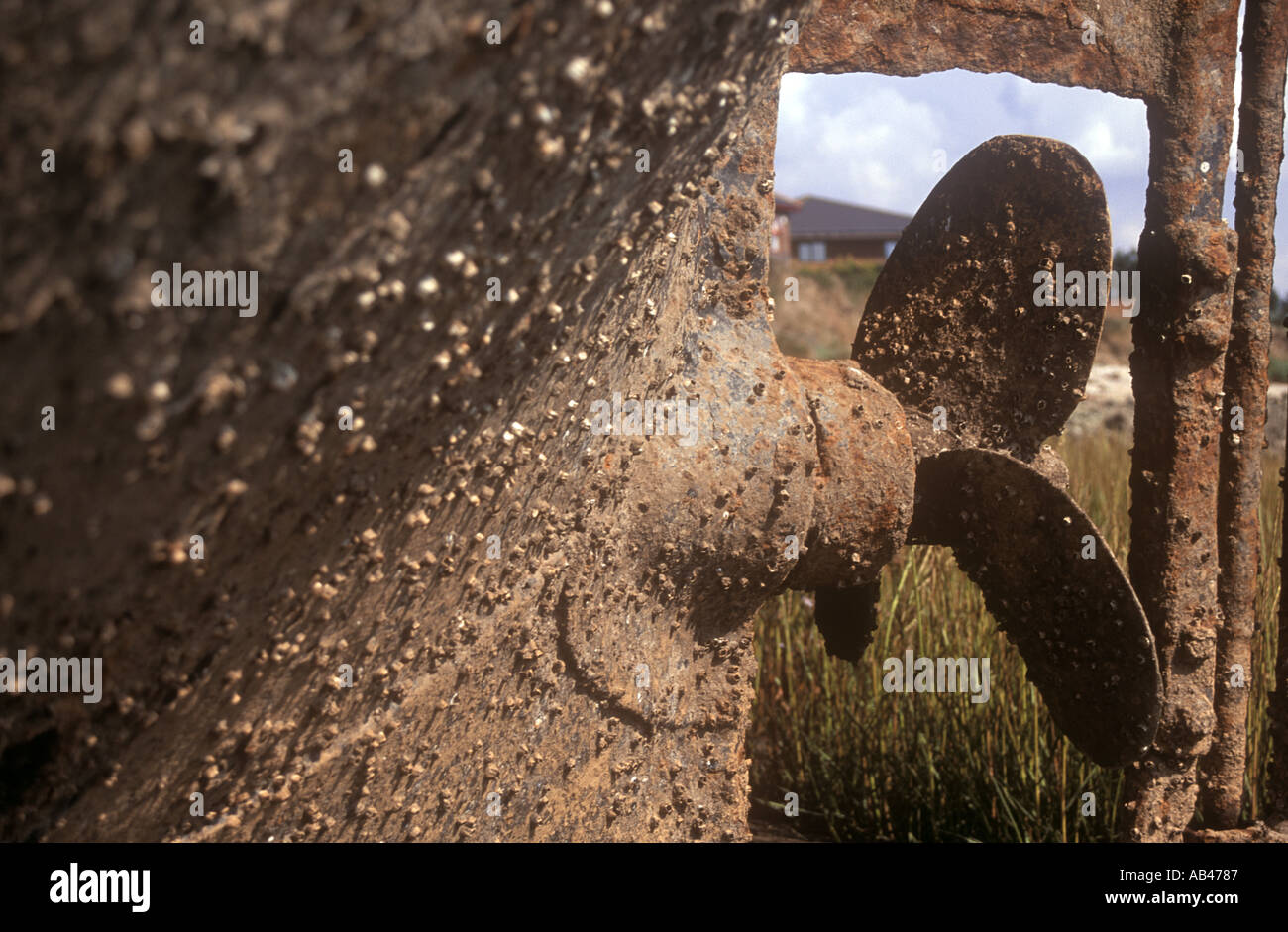 rusting ships hull with barnacles Stock Photo - Alamy