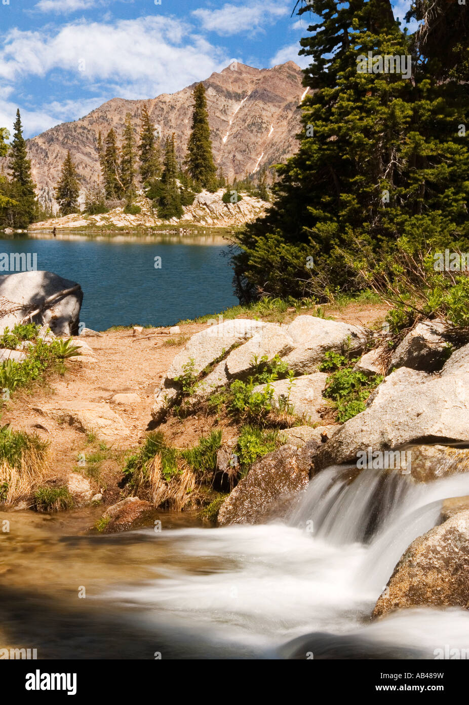 Cascading stream entering Red Pine Lake in the Twin Peaks Wilderness ...