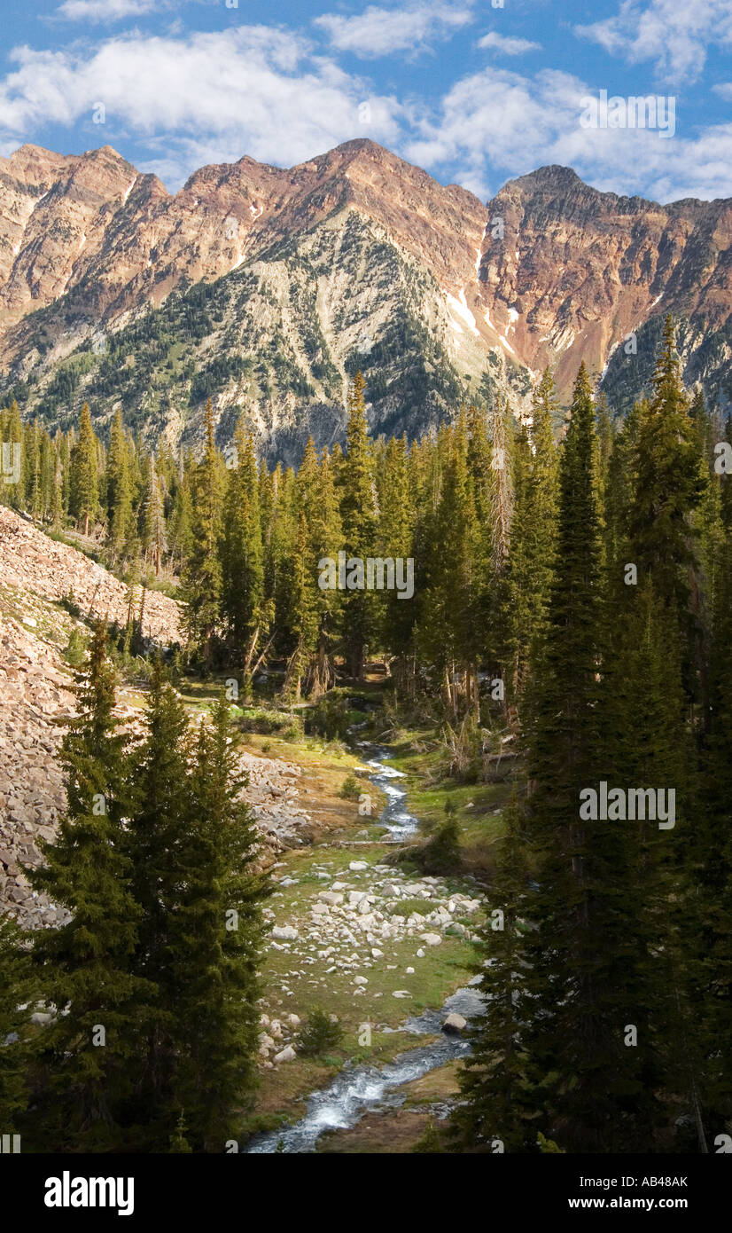 Red Pine Creek in the Twin Peaks Wilderness Area Wasatch Mountains Utah ...