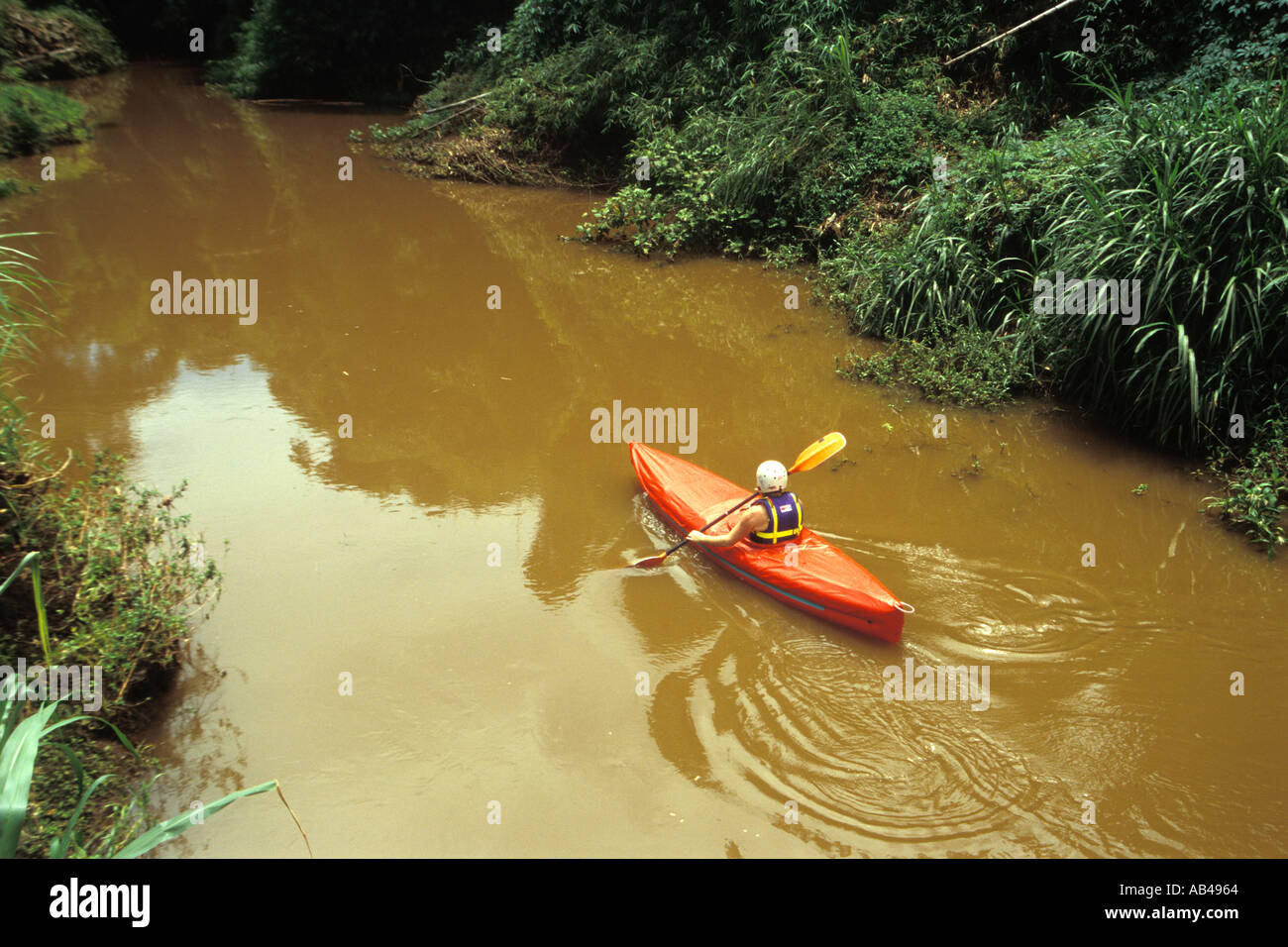 Wilderness in the inland of Reunion Island Mascarene Islands French ...