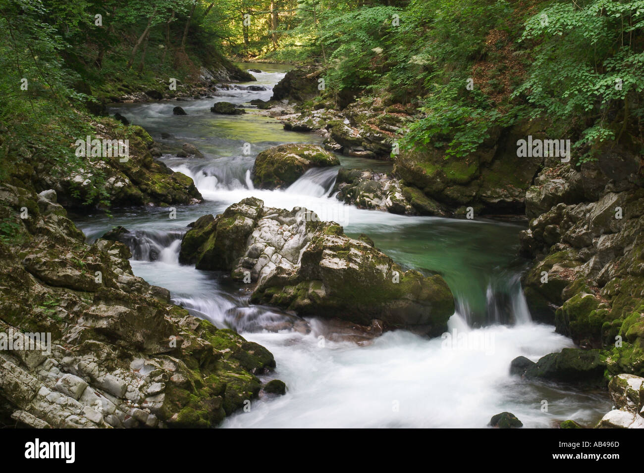 Vintgar Gorge with Radovna River near Bled Triglav National Park ...