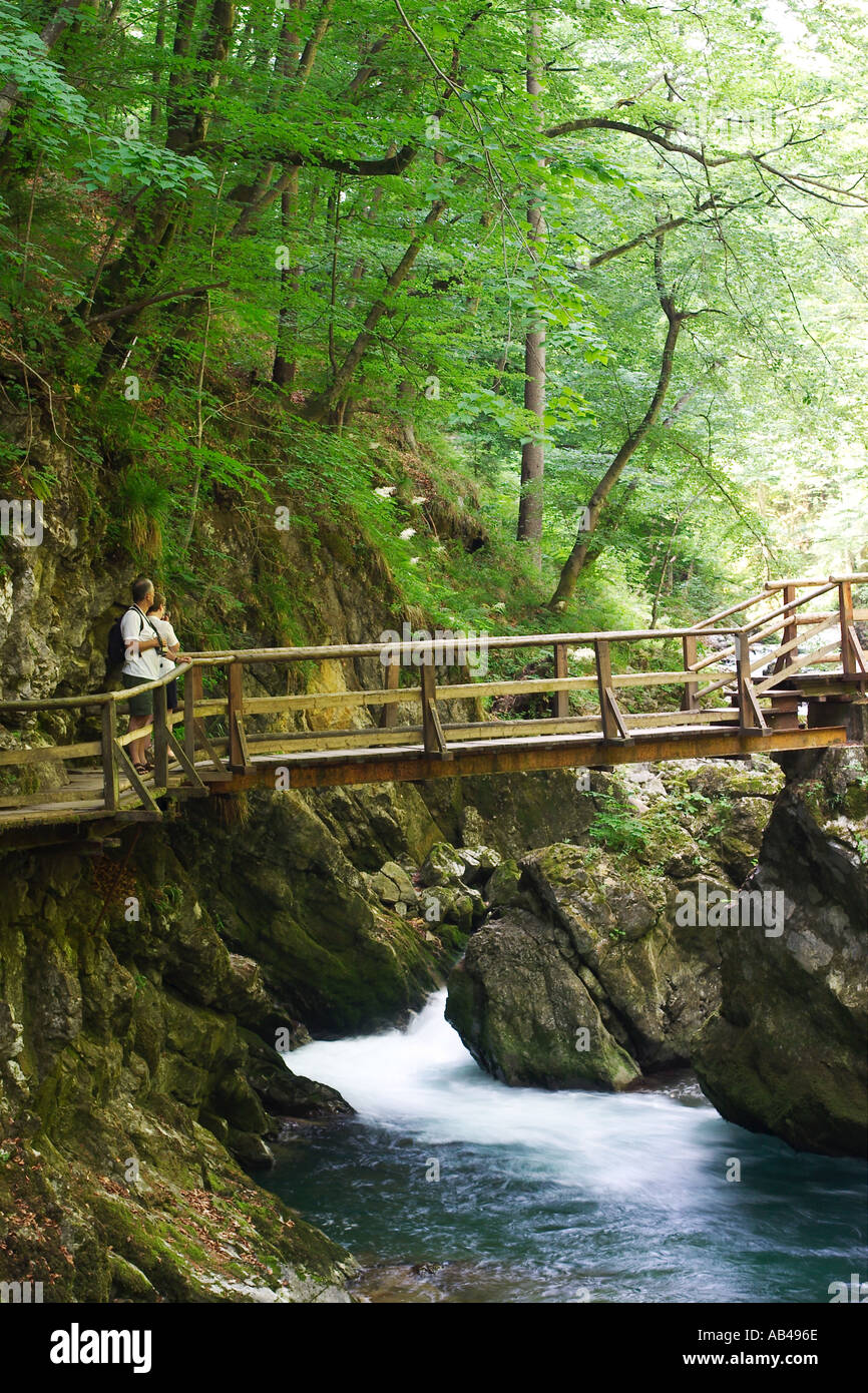 Vintgar Gorge with Radovna River near Bled Triglav National Park ...
