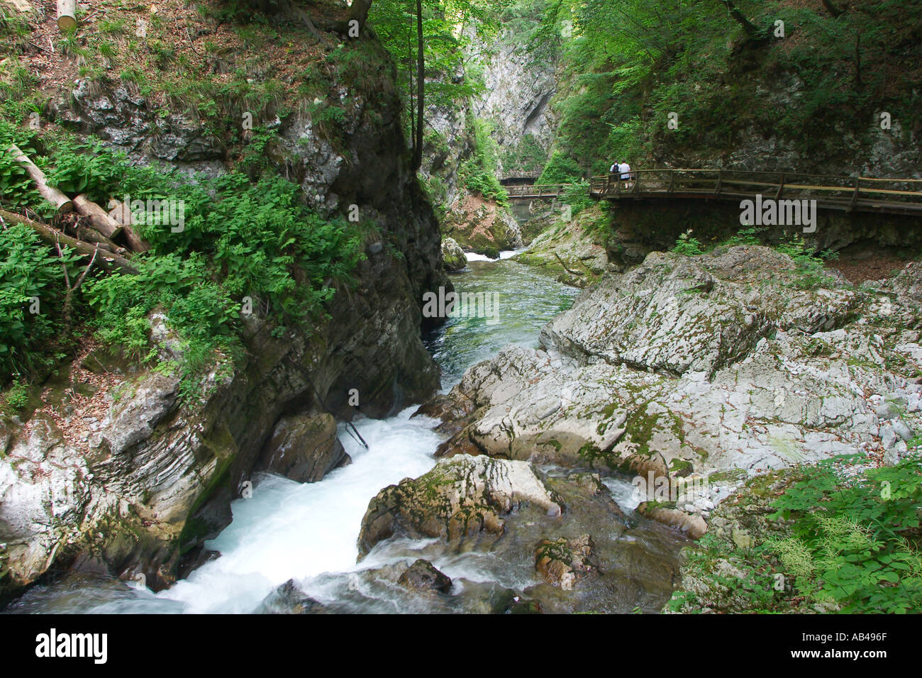Vintgar Gorge with Radovna River near Bled Triglav National Park ...