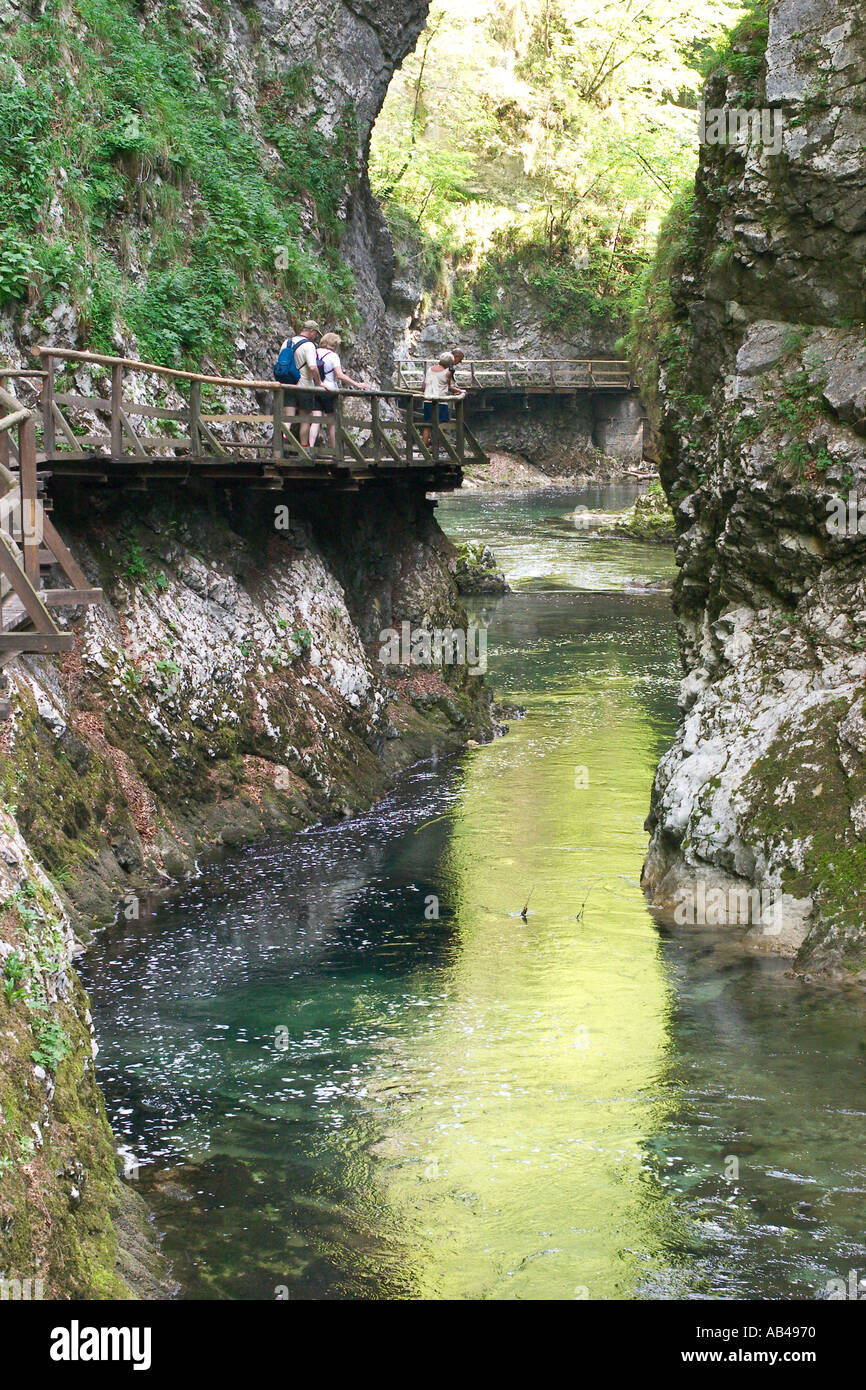 Vintgar Gorge with Radovna River near Bled Triglav National Park ...