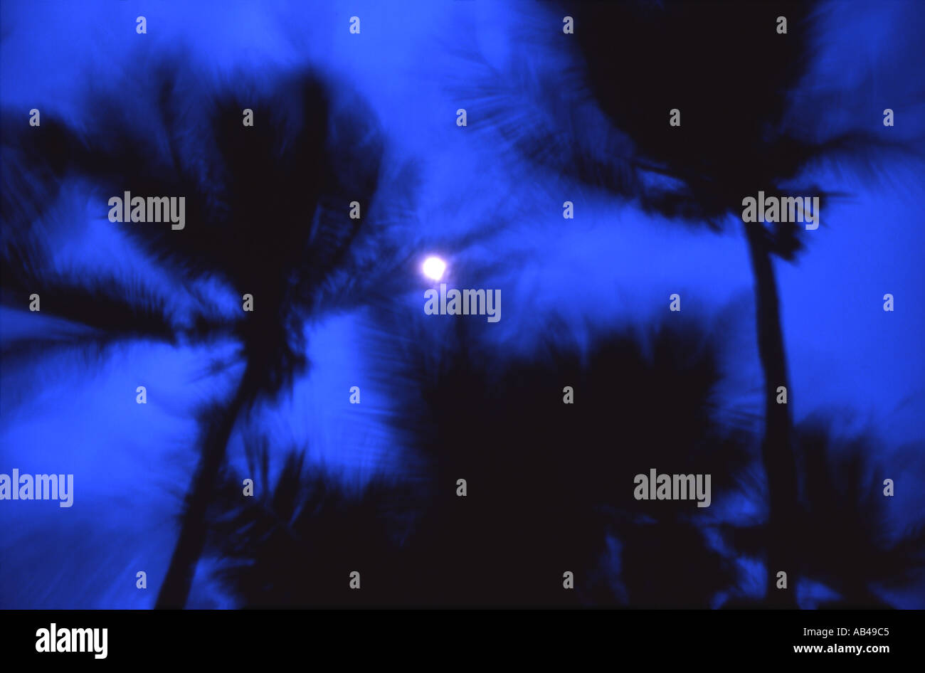 Windy night trees hi-res stock photography and images - Alamy