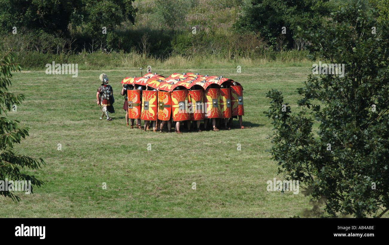 Turtle uniform hi-res stock photography and images - Alamy