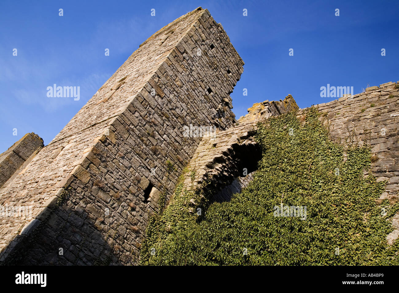 Richard iii childhood castle home hi-res stock photography and images ...