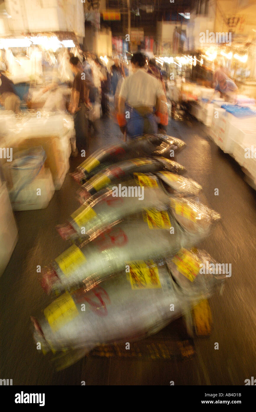 Transporting tuna by wheelbarrow at the Tokyo fish market in Tsukiji ...