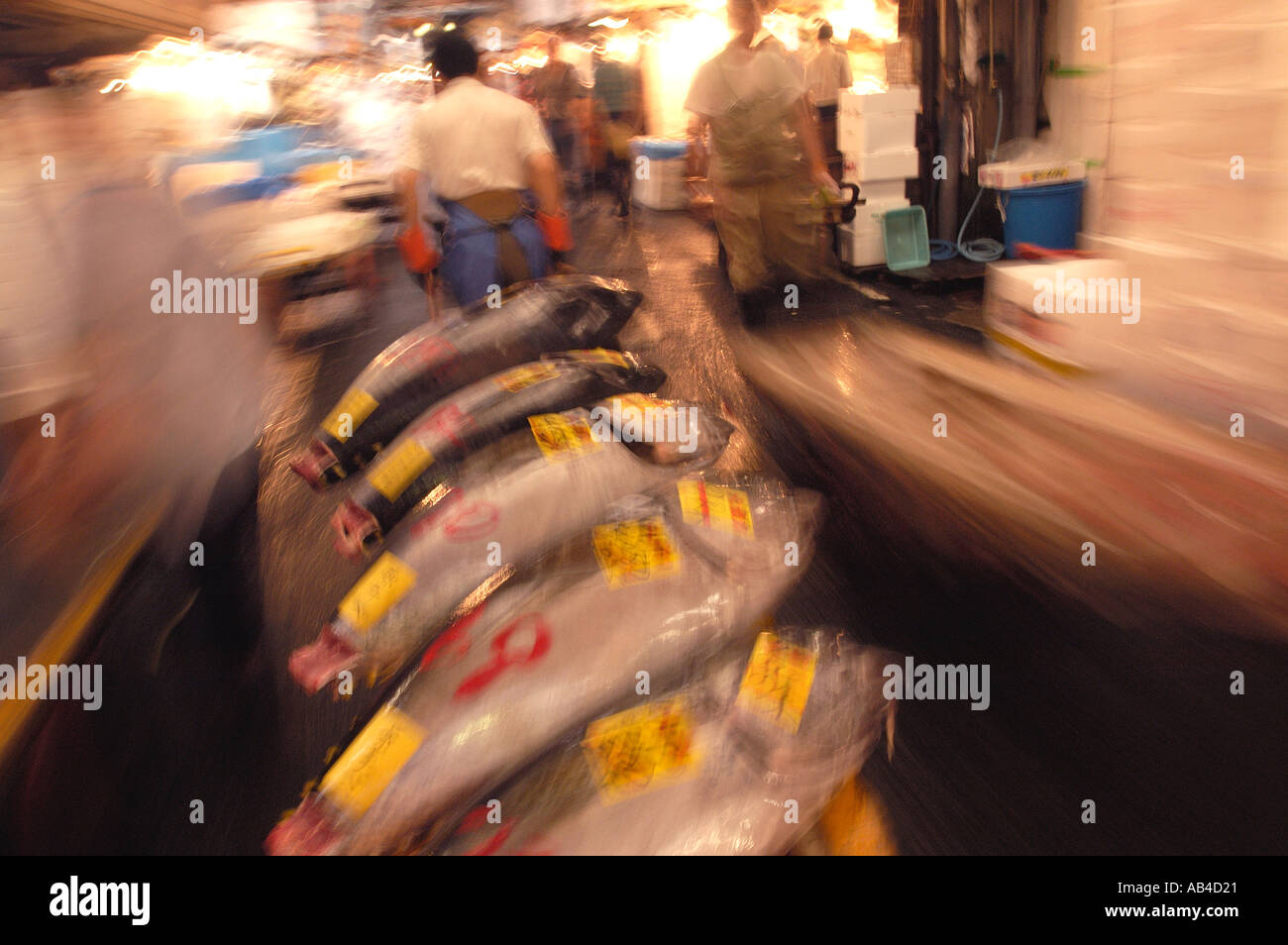 Transporting tuna by wheelbarrow at the Tokyo fish market at Tsukiji ...
