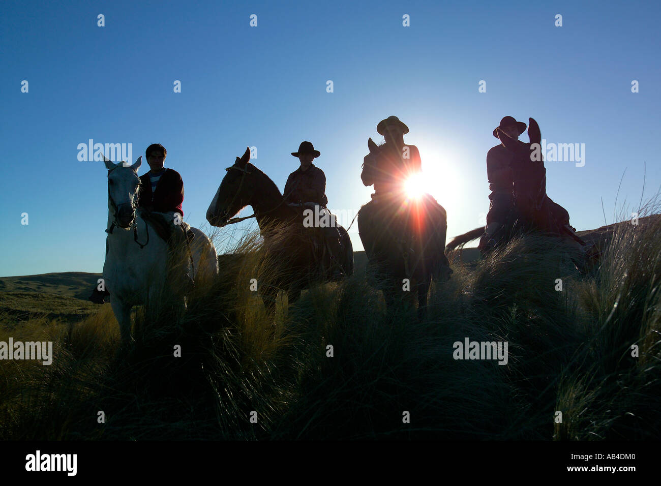 Pampas argentina cowboys hi-res stock photography and images - Alamy