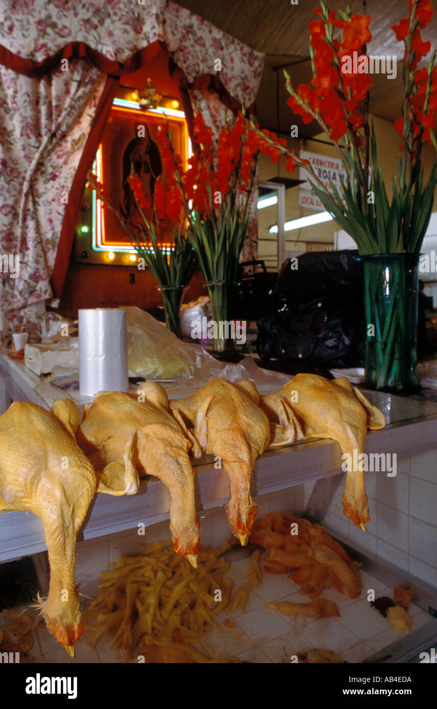Whole chickens for sale before an altar to the Virgen of Guadalupe ...