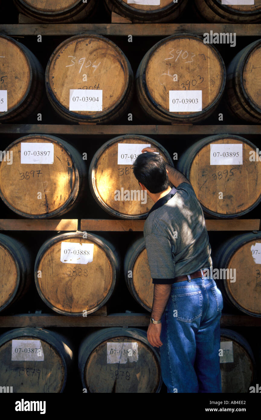 Tequila production in Mexico The distilled tequila is aged in oak ...
