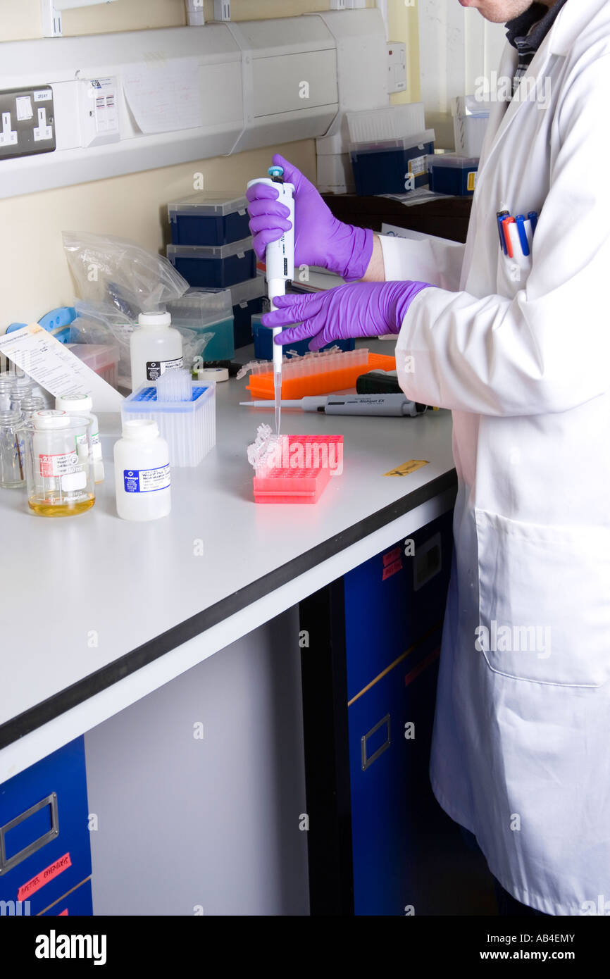 lab technician with pipette Stock Photo - Alamy