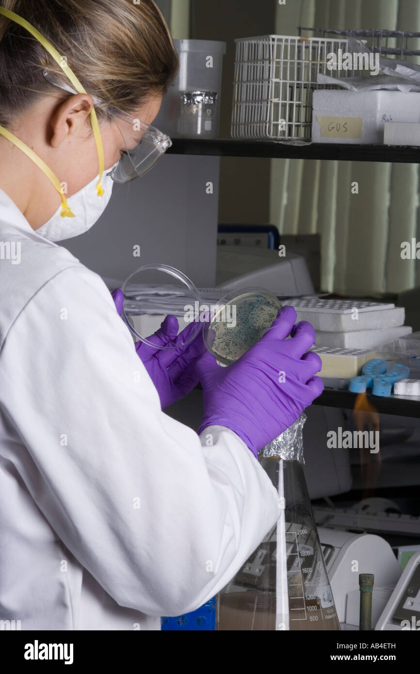 Female lab technician Stock Photo - Alamy