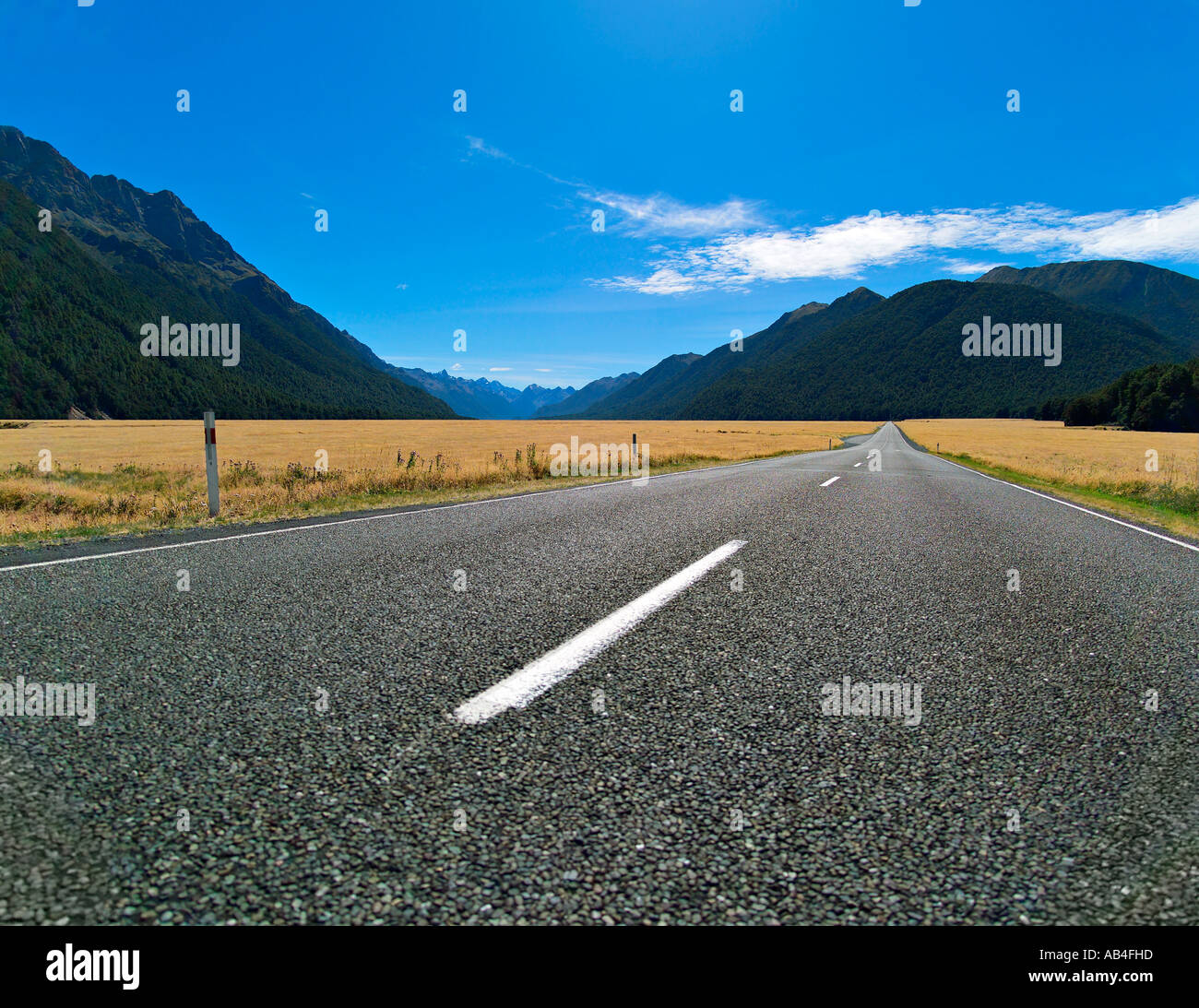 Travelling through New Zealand: the Milford Road Stock Photo - Alamy
