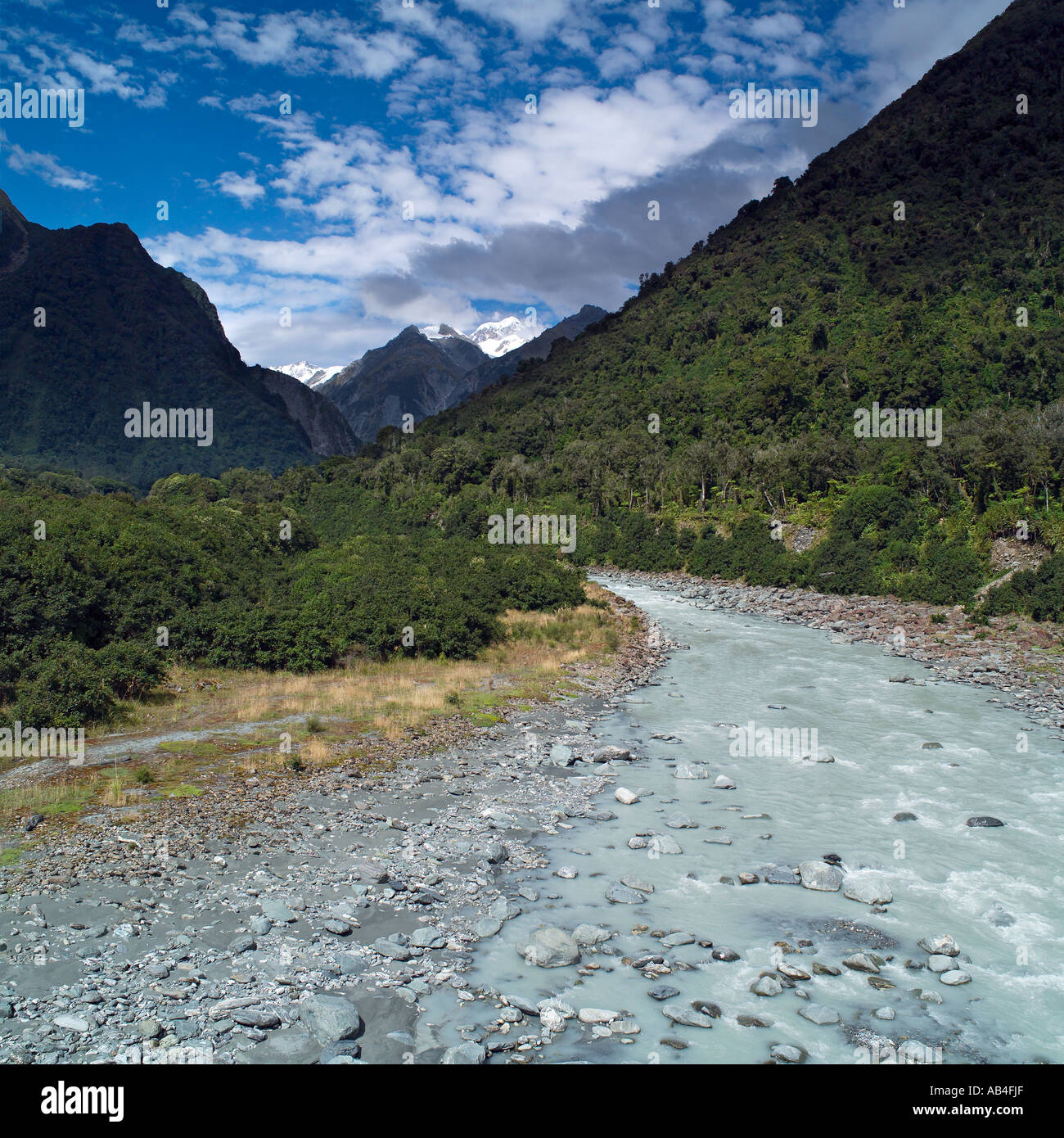 The Fox Glacier river and Mount Cook, South Island, New Zealand Stock ...