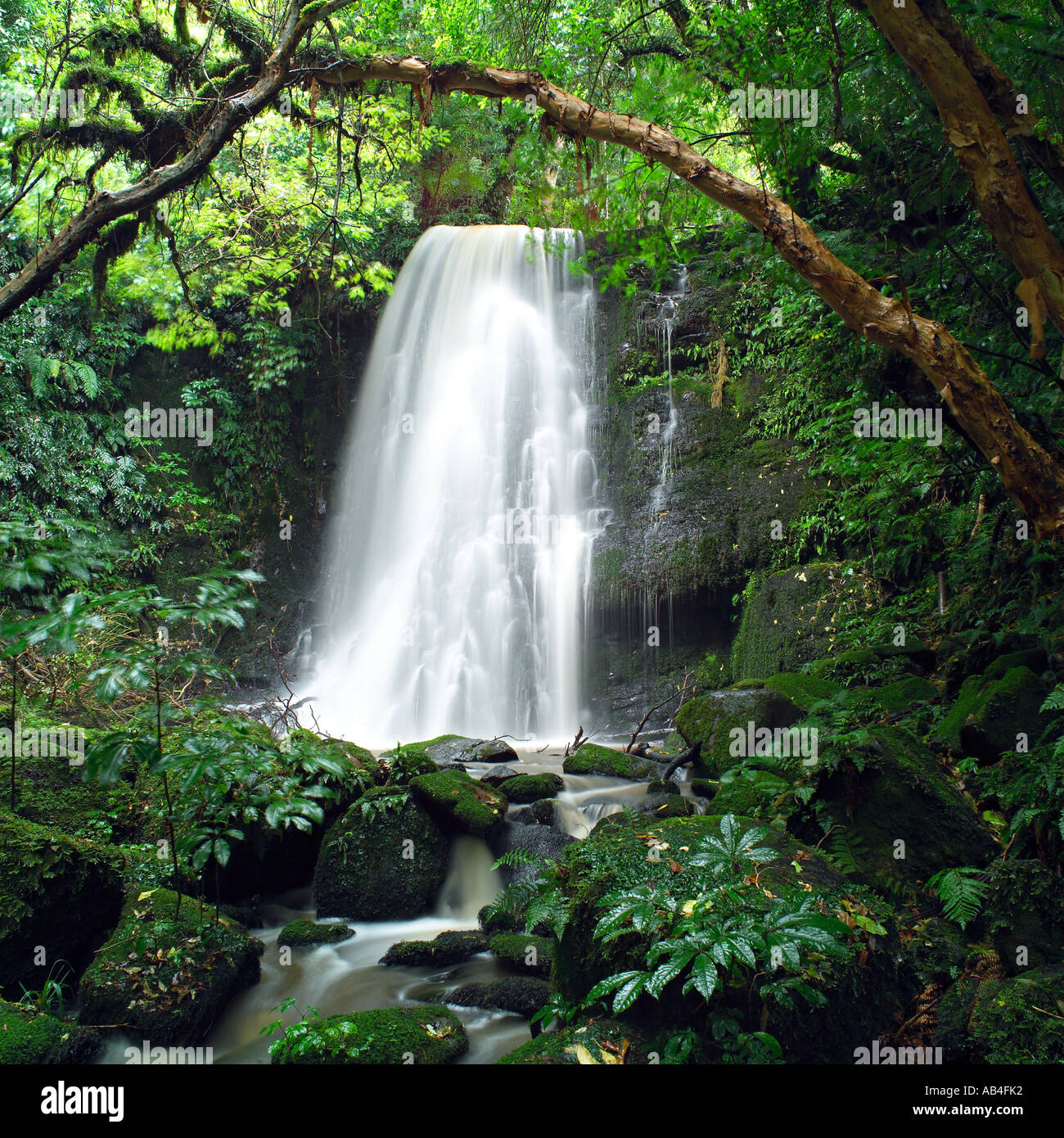 Matai Falls, the Catlins, New Zealand Stock Photo - Alamy