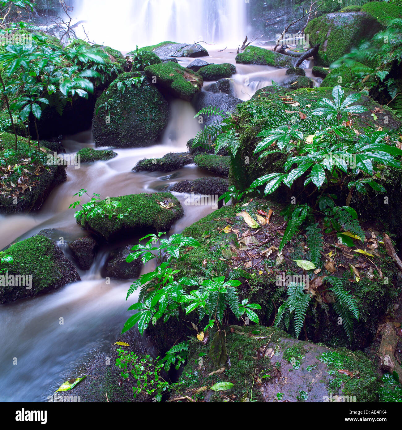Matai Falls, the Catlins, New Zealand Stock Photo - Alamy