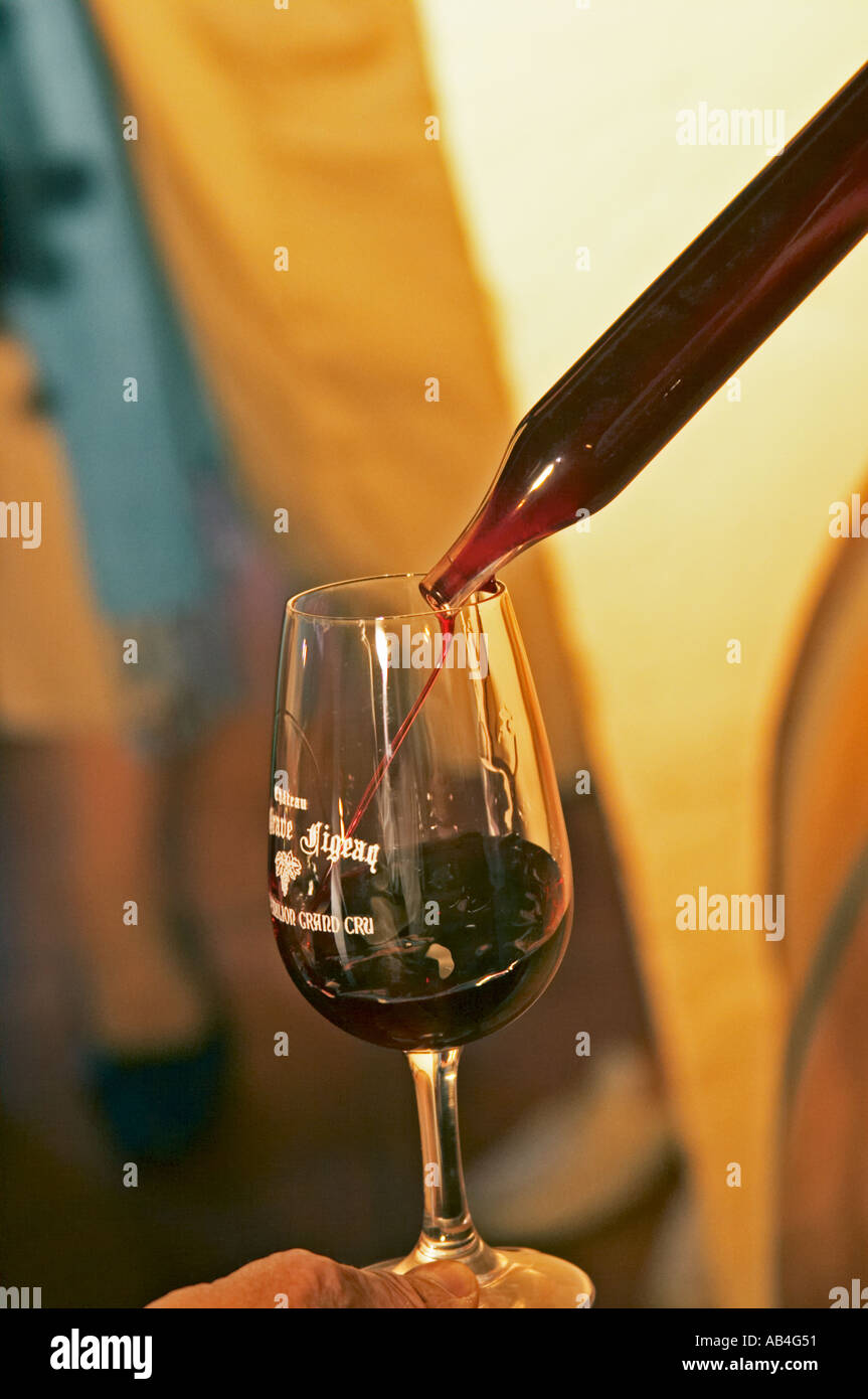 A wine sampling pipette taking a sample from a barrel and pouring in a ...