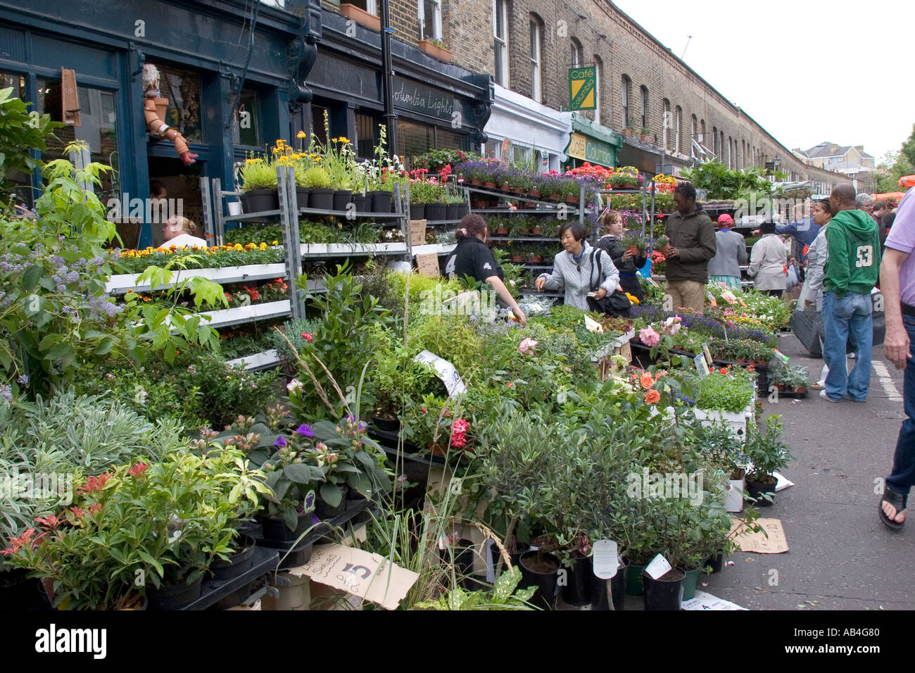 Columbia Road Sunday flower market East End London Tower Hamlets, GB UK ...