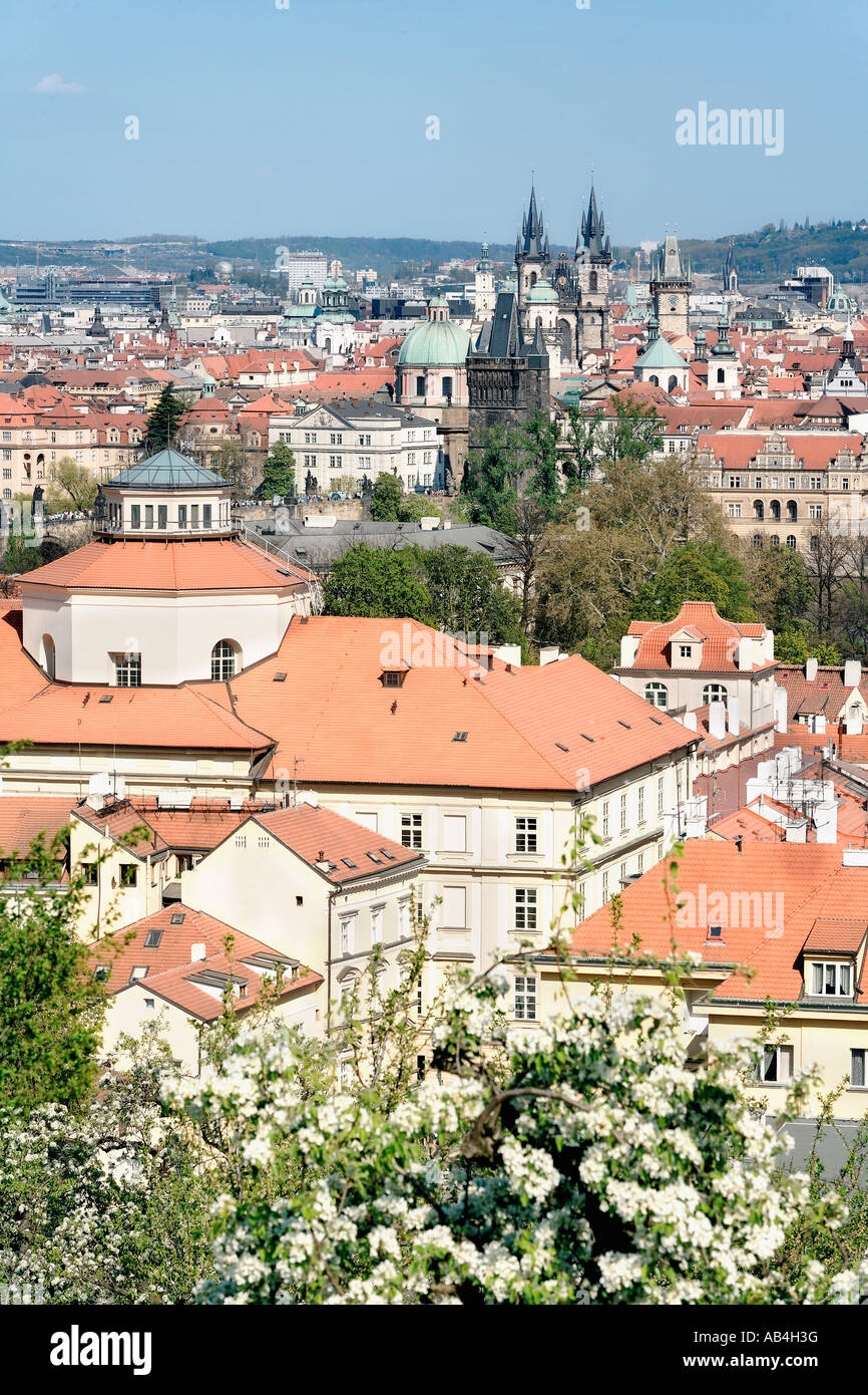 Prague cherry trees blossom spring hi-res stock photography and images ...