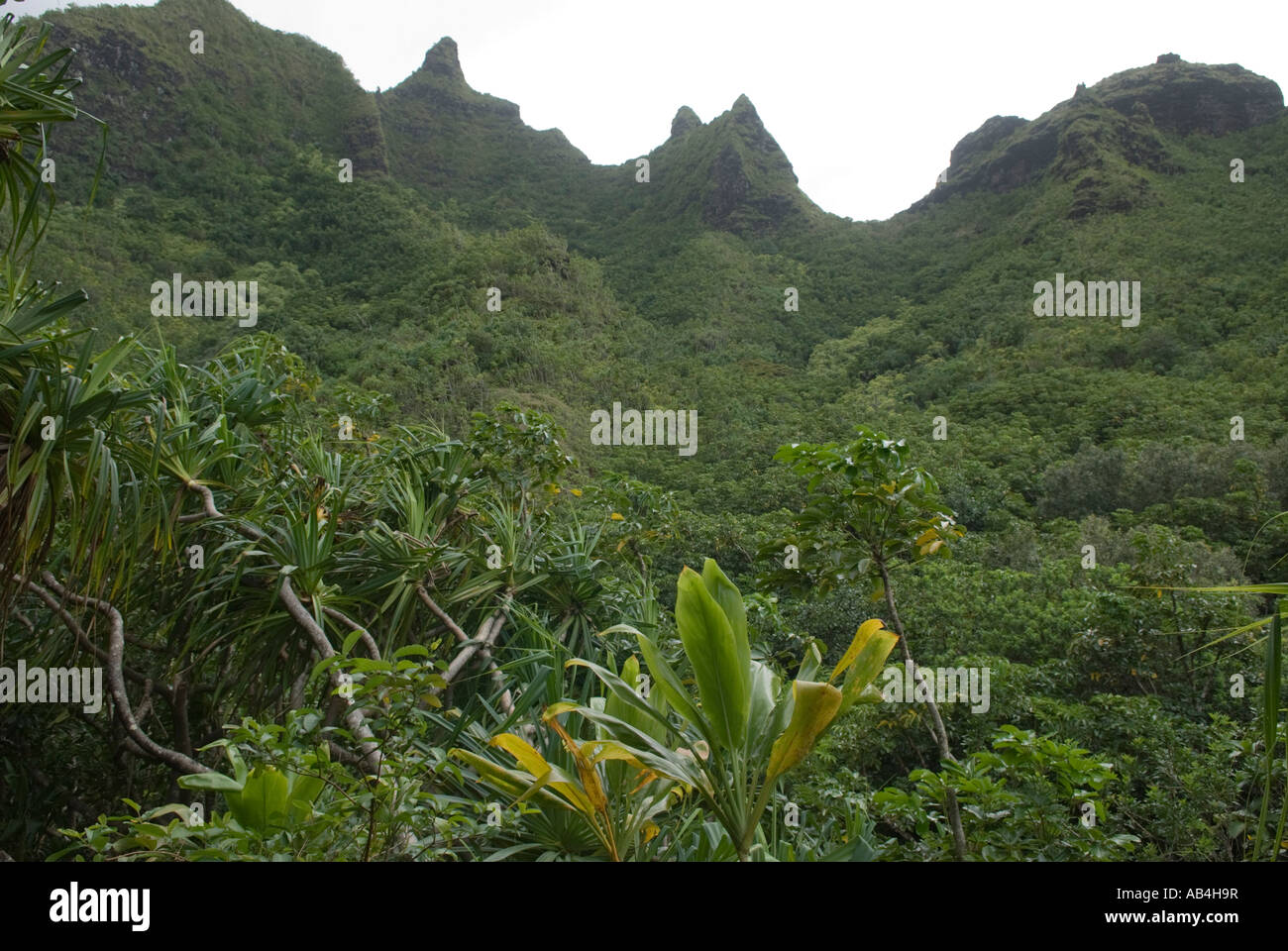 Limahuli Garden and Preserve, National Tropical Botanical Gardens ...