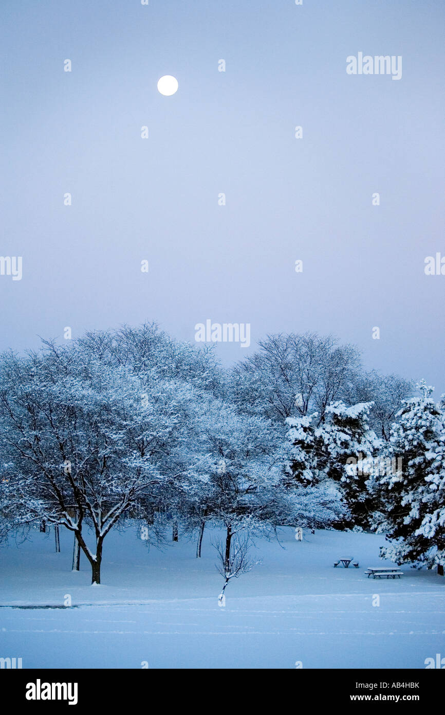 Snow covered trees in park in Ann Arbor Michigan U S A Stock Photo - Alamy
