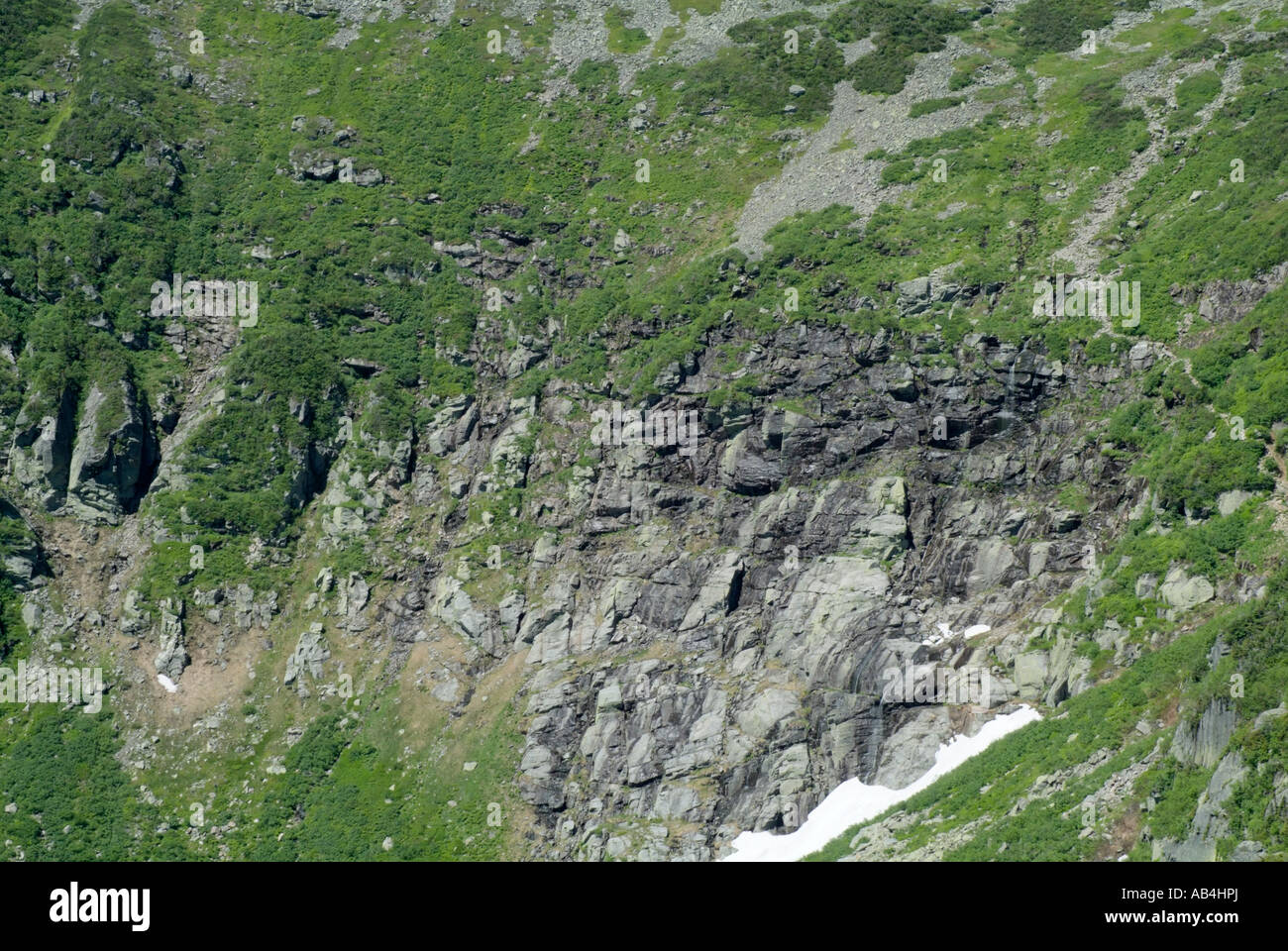 Tuckerman Ravine Head Wall