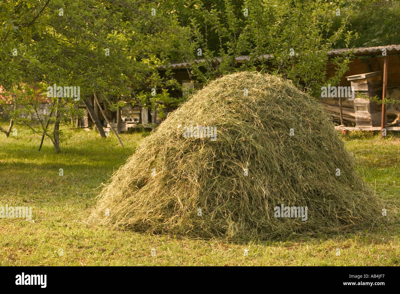 traditional hay rick in posada de Valdeon Picos de Europa mountains ...