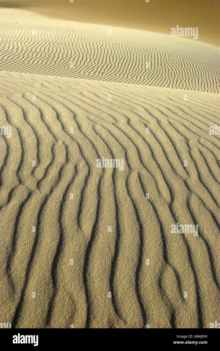 Migrating sand dunes hi-res stock photography and images - Alamy