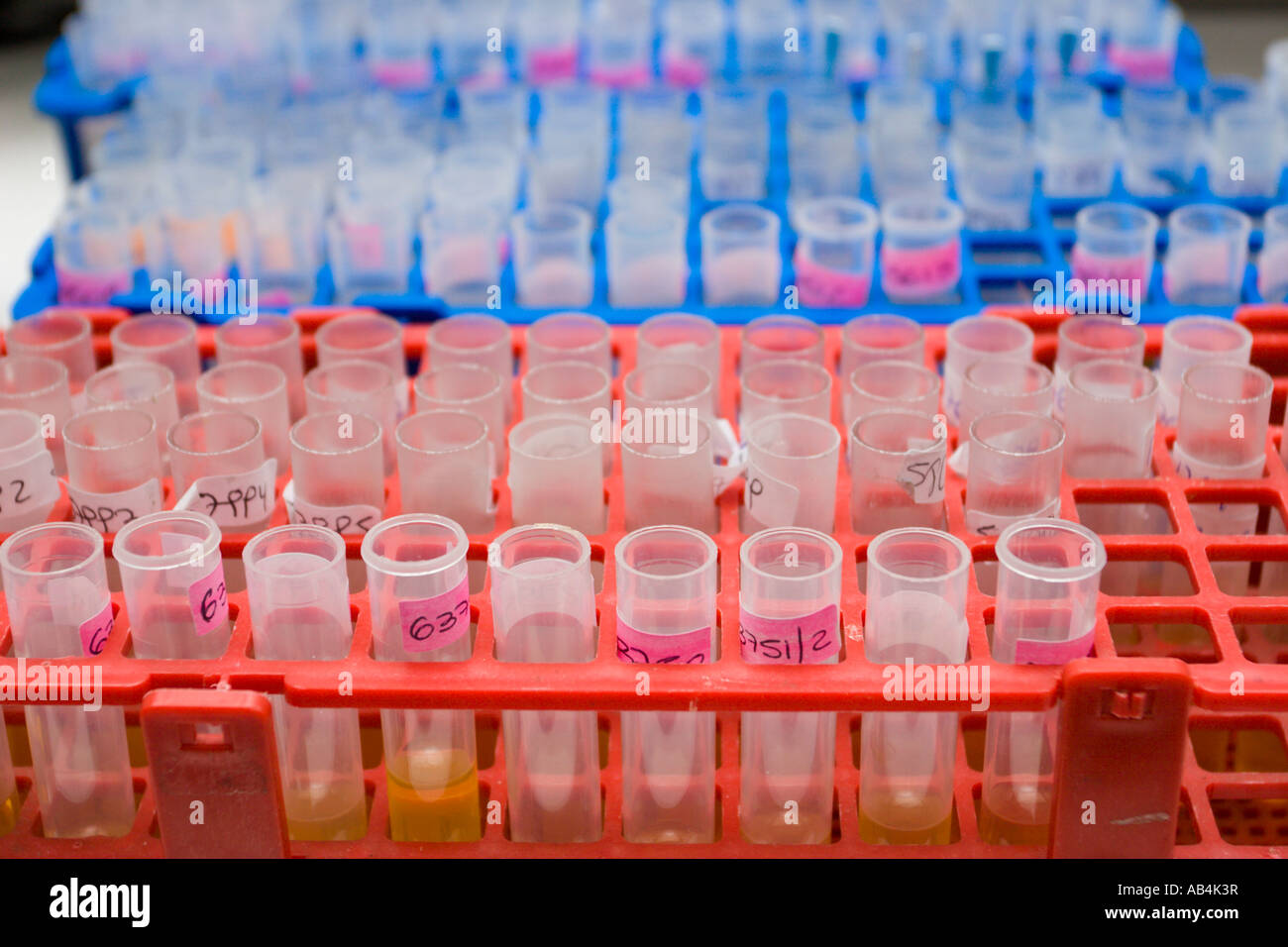 Test tubes with samples in a lab Stock Photo - Alamy