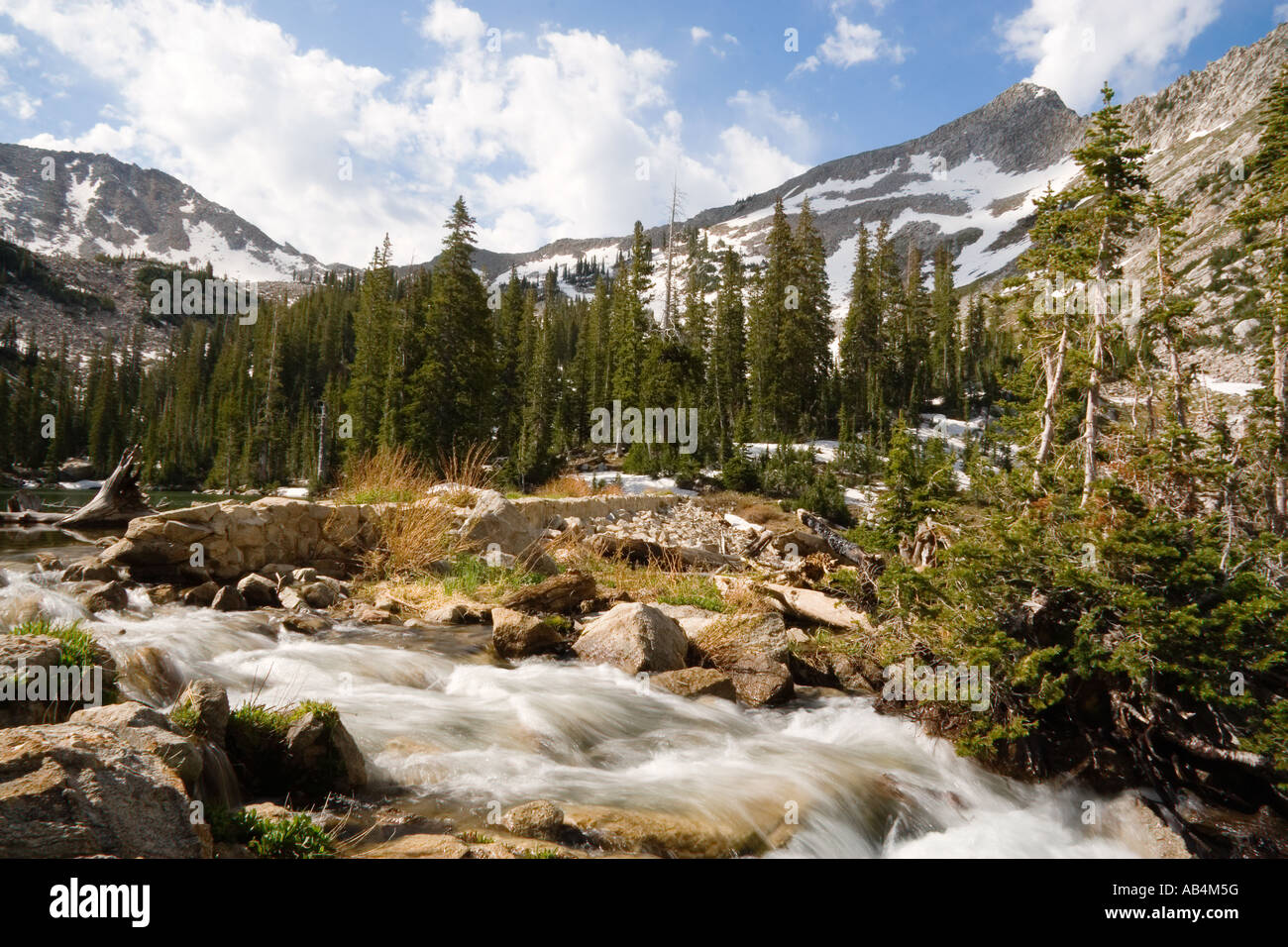Red Pine Creek in the Twin Peaks Wilderness Area Wasatch Mountains Utah ...
