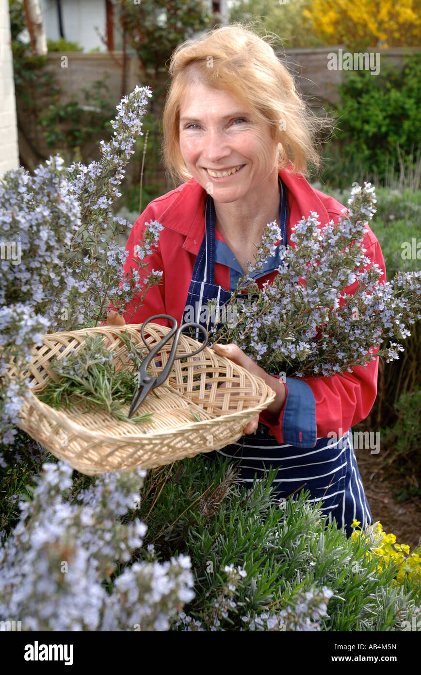 Lady rosemary hi-res stock photography and images - Alamy