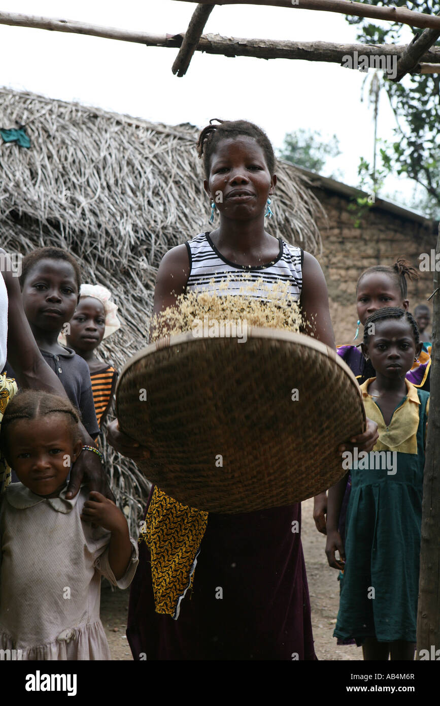 Woman sieving rice hi-res stock photography and images - Alamy
