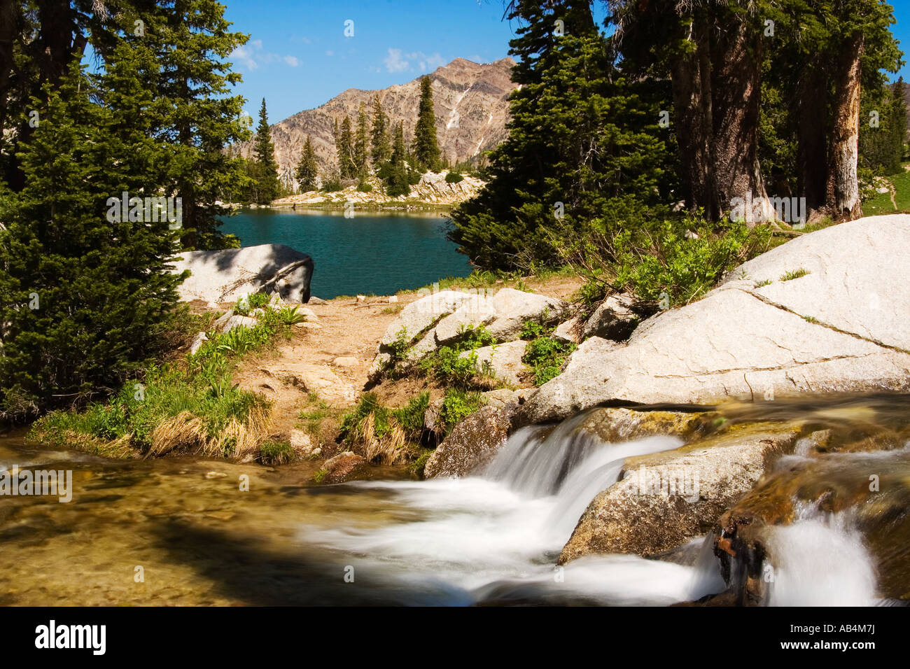 Cascading stream entering Red Pine Lake in the Twin Peaks Wilderness ...