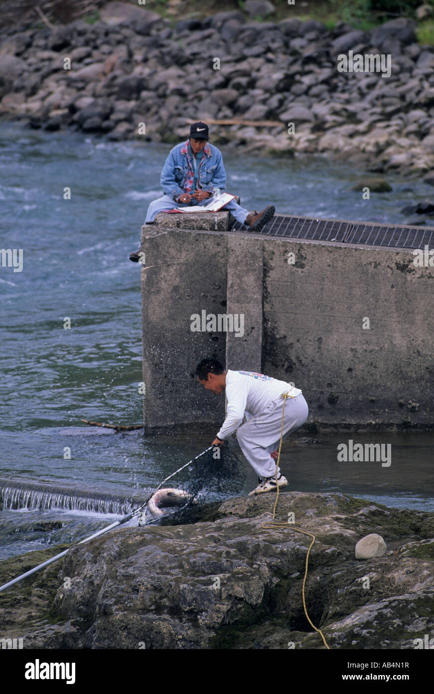 First Nations fisheries releasing coho salmon at Moricetown Falls ...