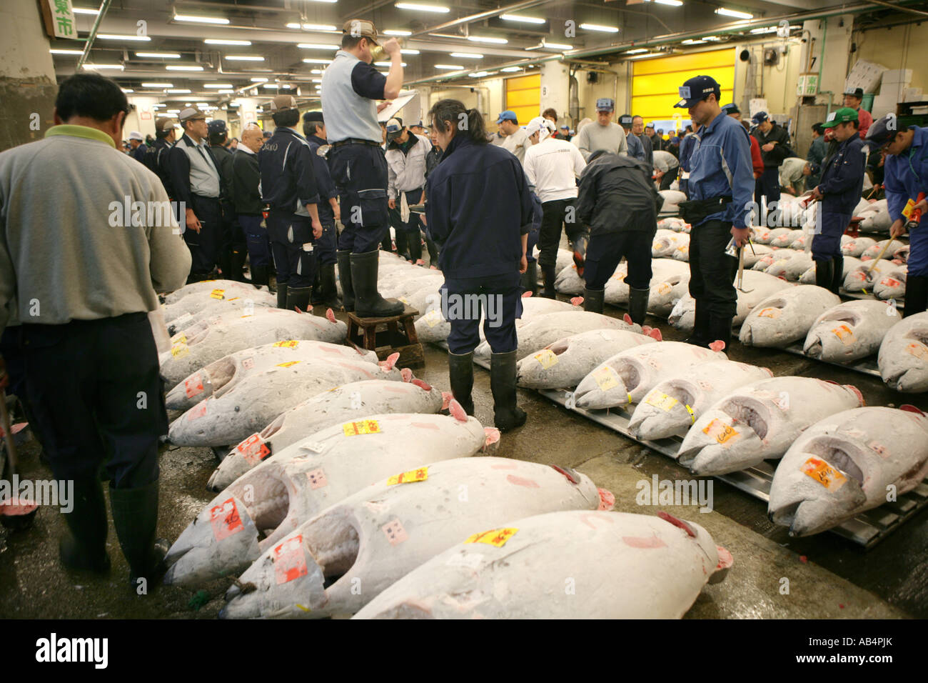 JPN Japan Tokyo Fish and food wholesale market of Tsukiji Biggest ...
