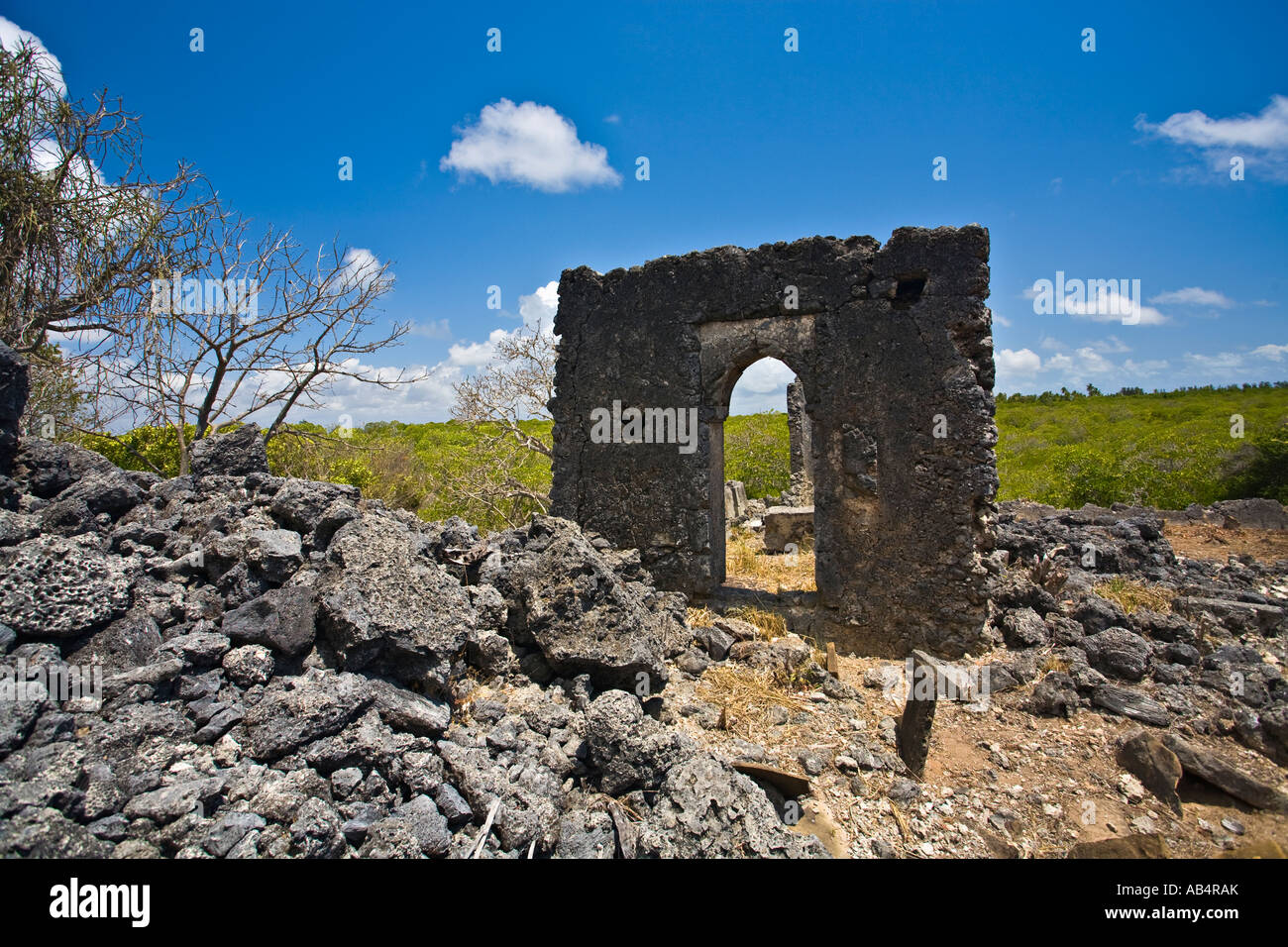 Songo Mnara Ruins, Tanzania, Africa, UNESCO site Stock Photo - Alamy