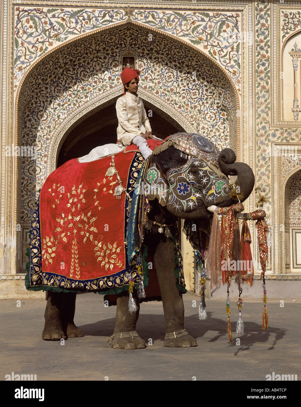 India, Rajasthan, Elephant Stock Photo - Alamy