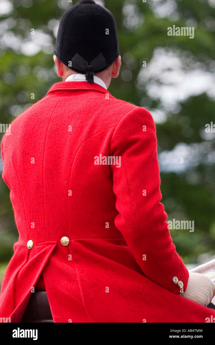 Red hare horse hi-res stock photography and images - Alamy