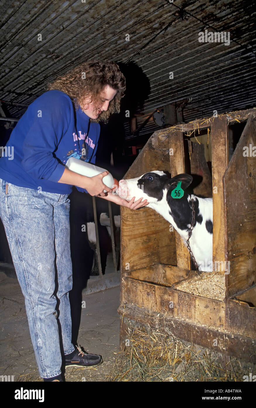 Female farmer checks for the quality of milk by taking samples and ...