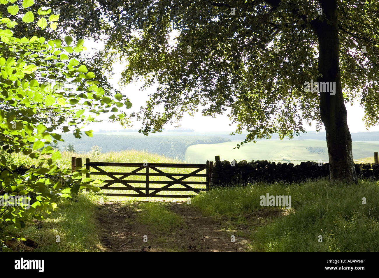 Wooden gate in countryside Stock Photo - Alamy