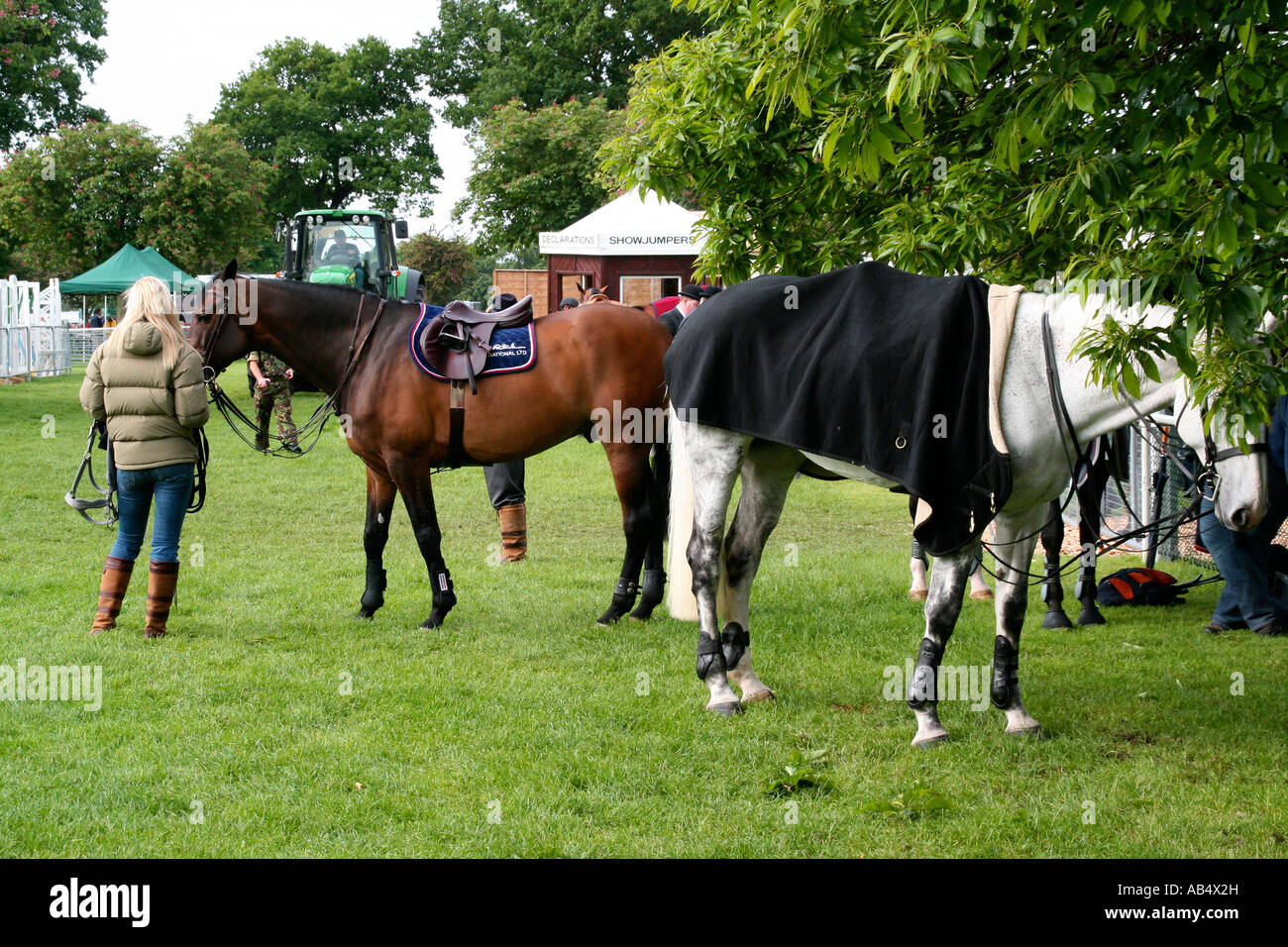 Horses and riders at an agricultural show in Suffolk UK Stock Photo - Alamy