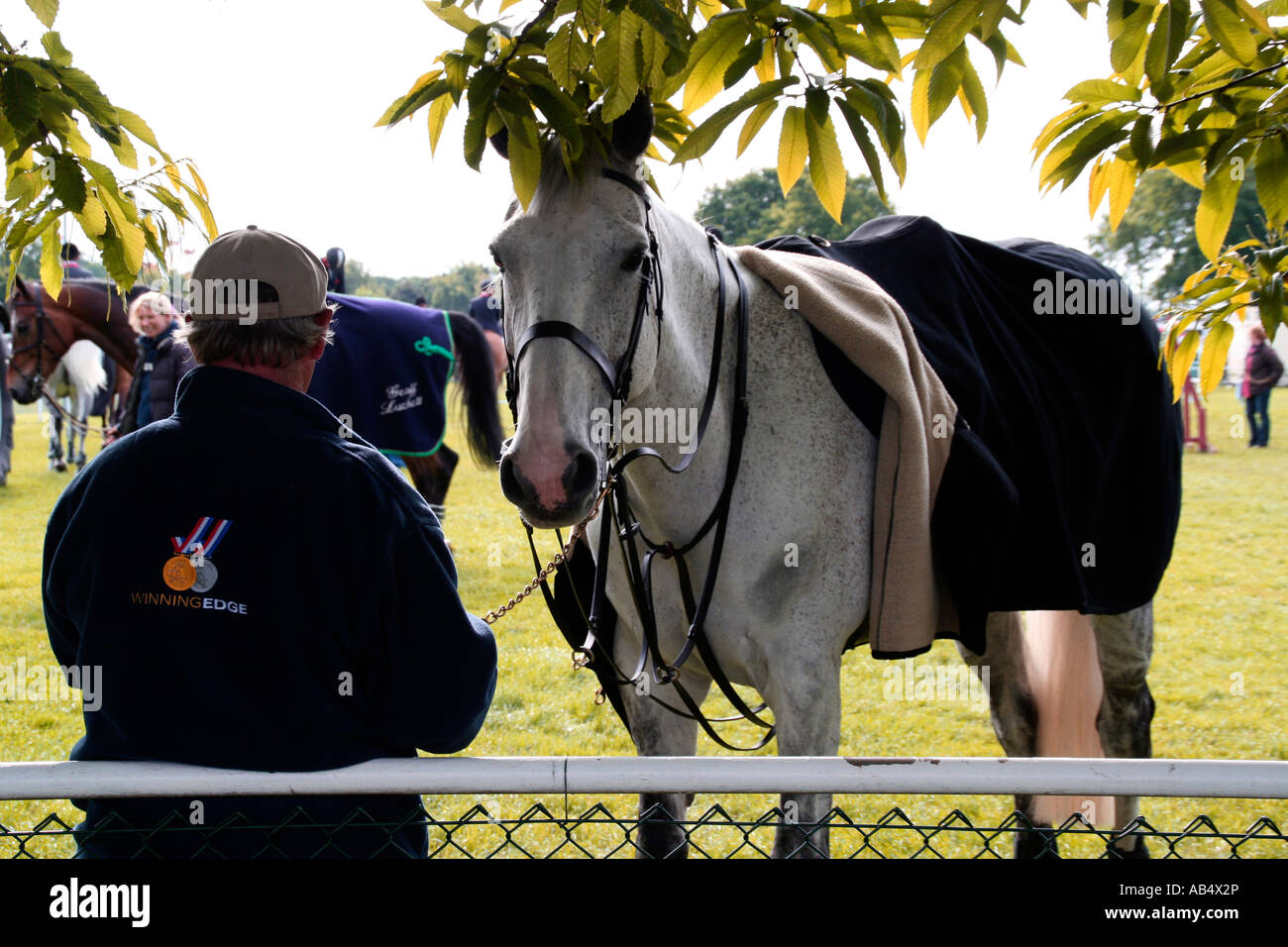Horses and riders at an agricultural show in Suffolk UK Stock Photo - Alamy