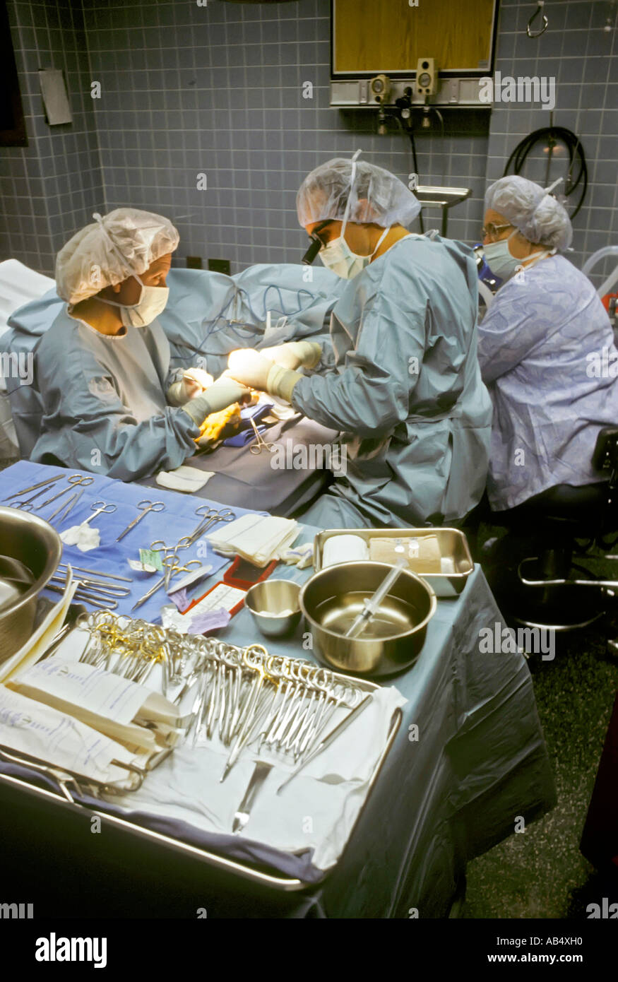 Doctor performs surgery in a operating room Stock Photo - Alamy