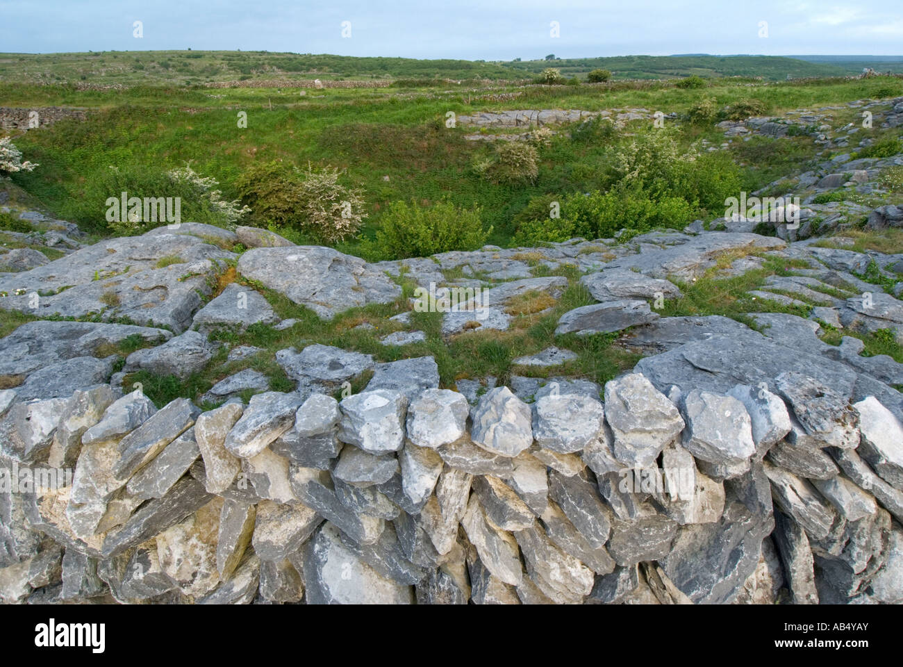 Ireland County Clare The Burren doline collapsed cavern Stock Photo - Alamy