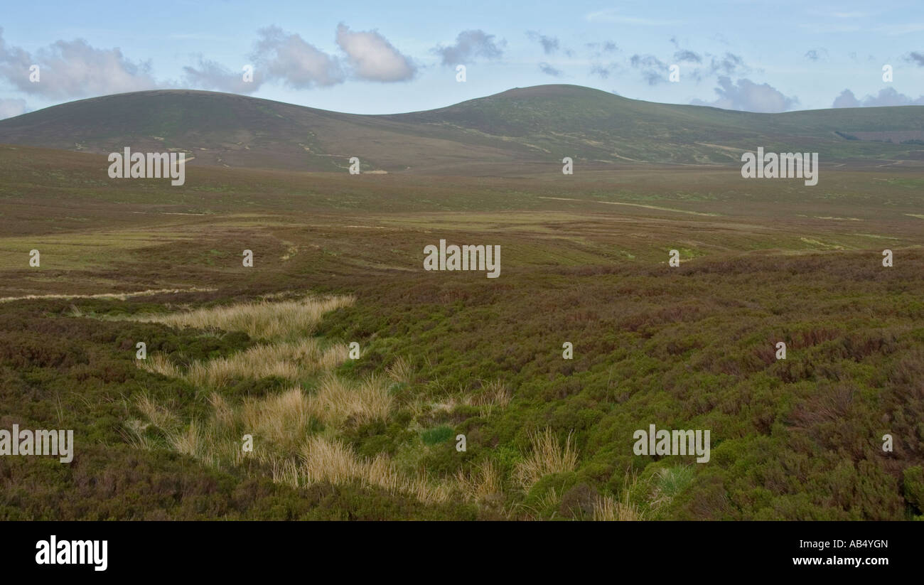 Ireland County Wicklow mountains Stock Photo - Alamy
