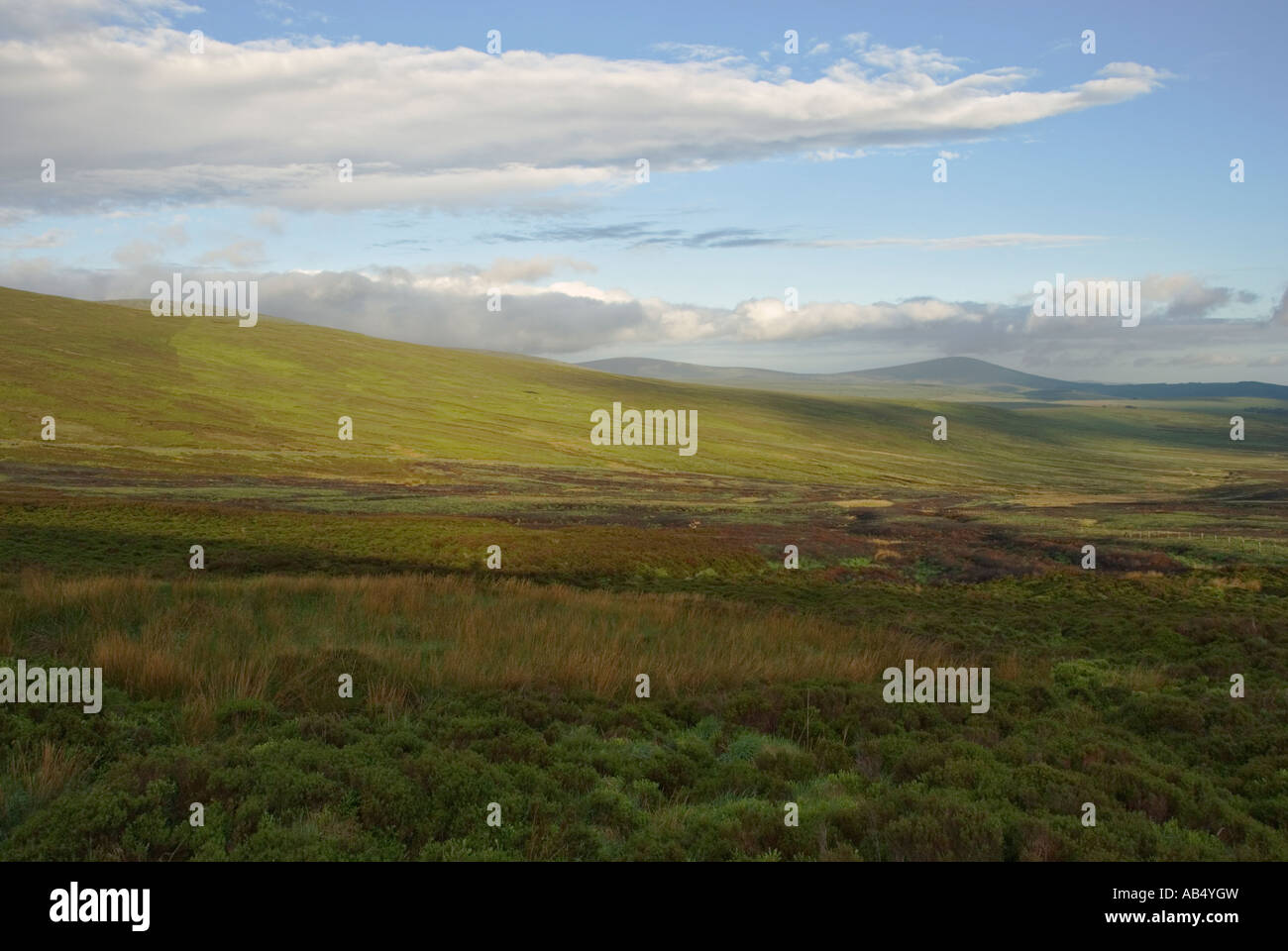 Ireland County Wicklow mountains near Sally Gap Stock Photo - Alamy
