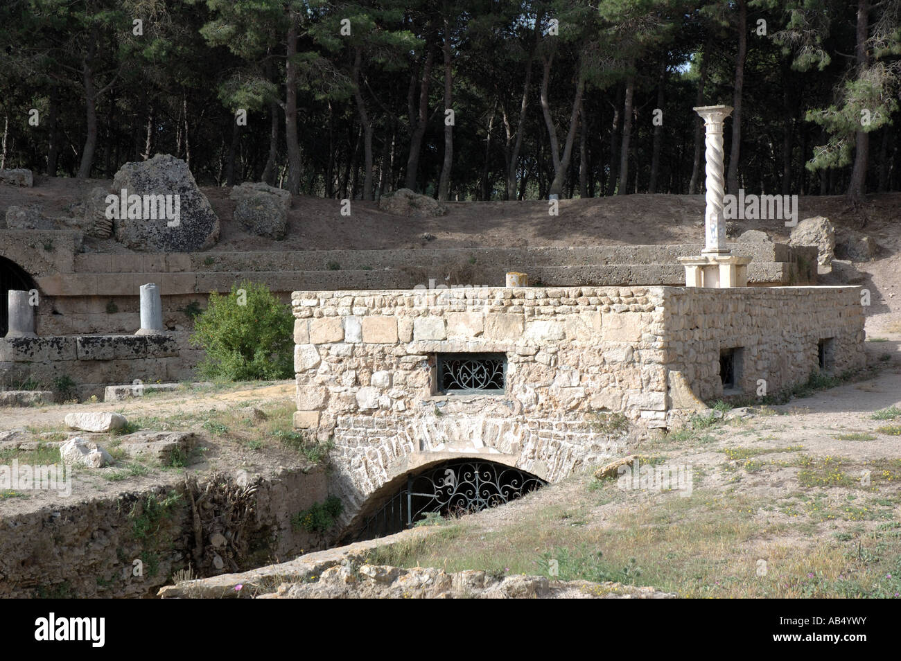 Roman amphitheatre, Carthage, Tunisia Stock Photo - Alamy