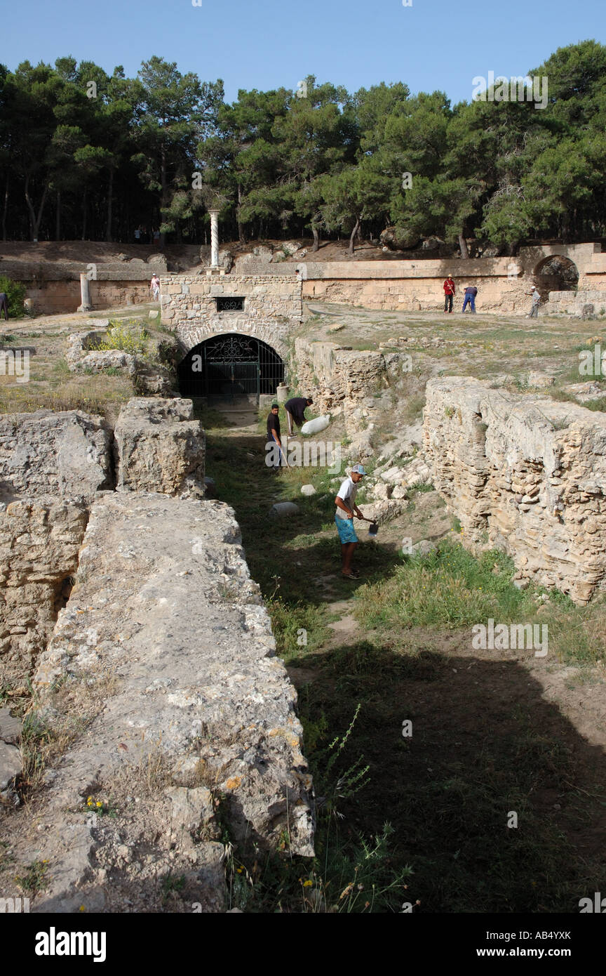 Roman amphitheatre, Carthage, Tunisia Stock Photo - Alamy